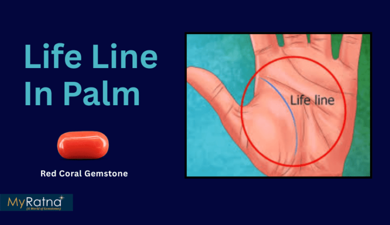 Palm Reading for Female: A Guide to Understanding Hand Lines